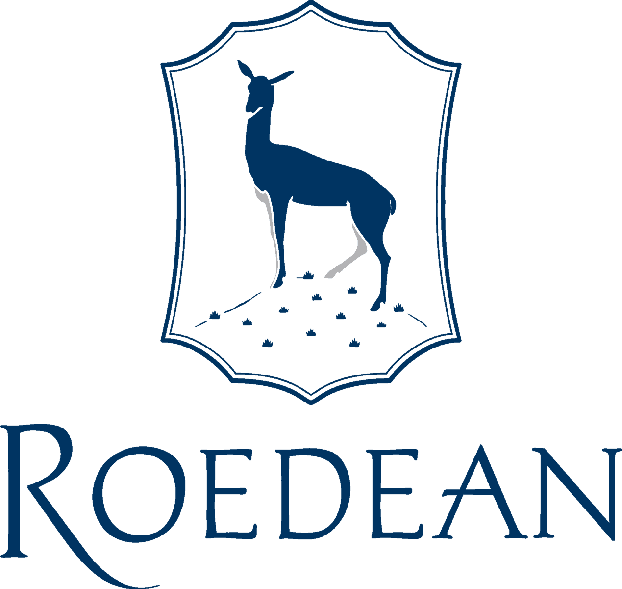 Roedean School - 學校簡介 - Britannia 英識教育- 英國升學