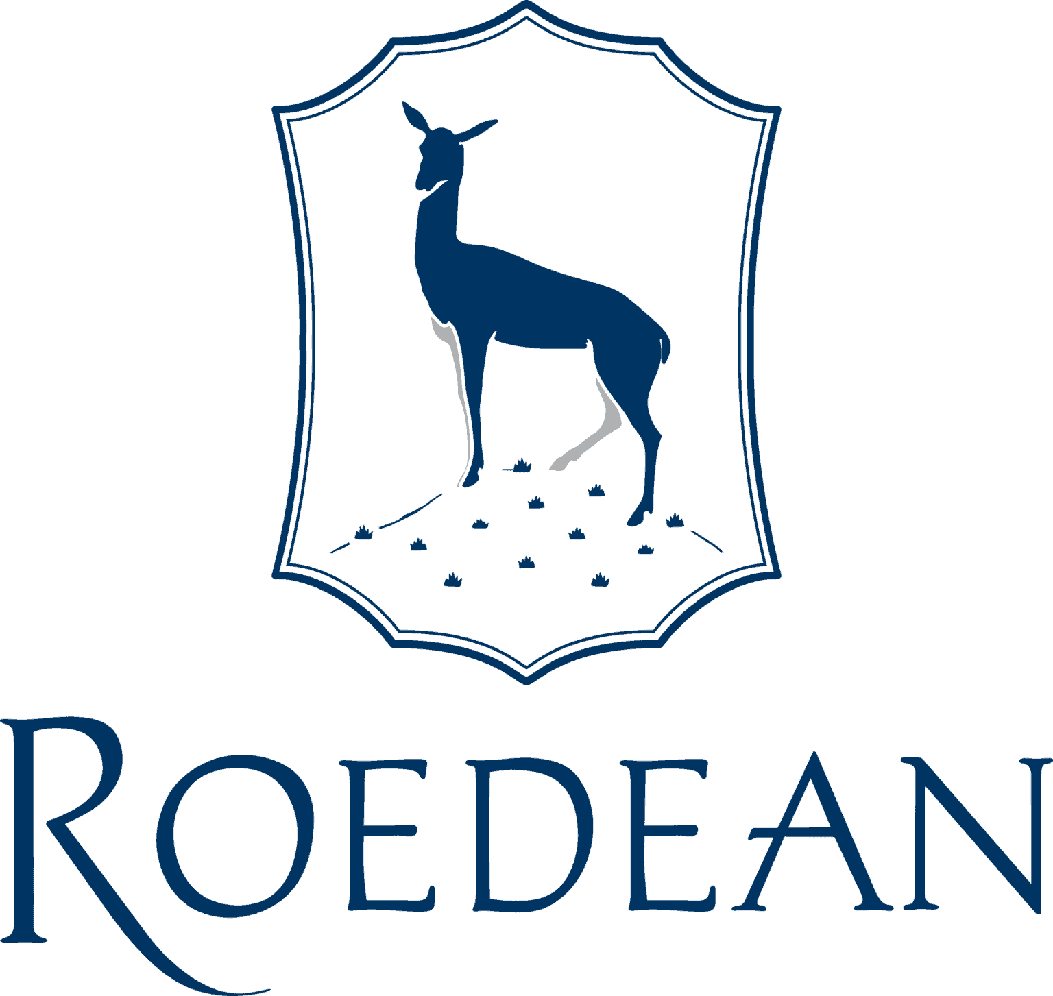 Roedean School - 學校簡介 - Britannia 英識教育- 英國升學